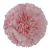 Carnations | Flores laConchita